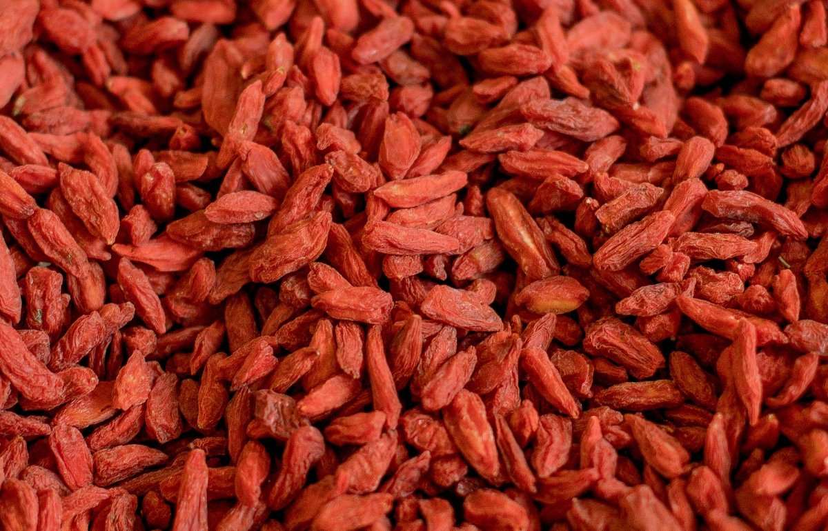 Beneficios de las bayas de goji: cómo y por qué consumirlas - Diario ...